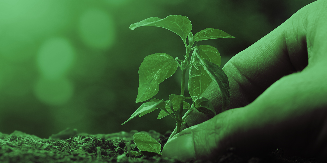 Impact – Area One Farms