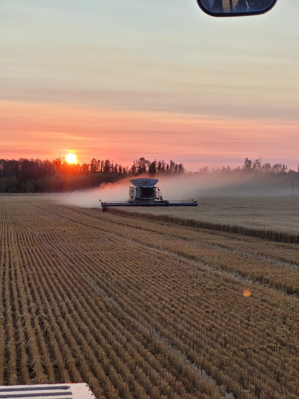 Agriculture in Northern Ontario | Area One Farms